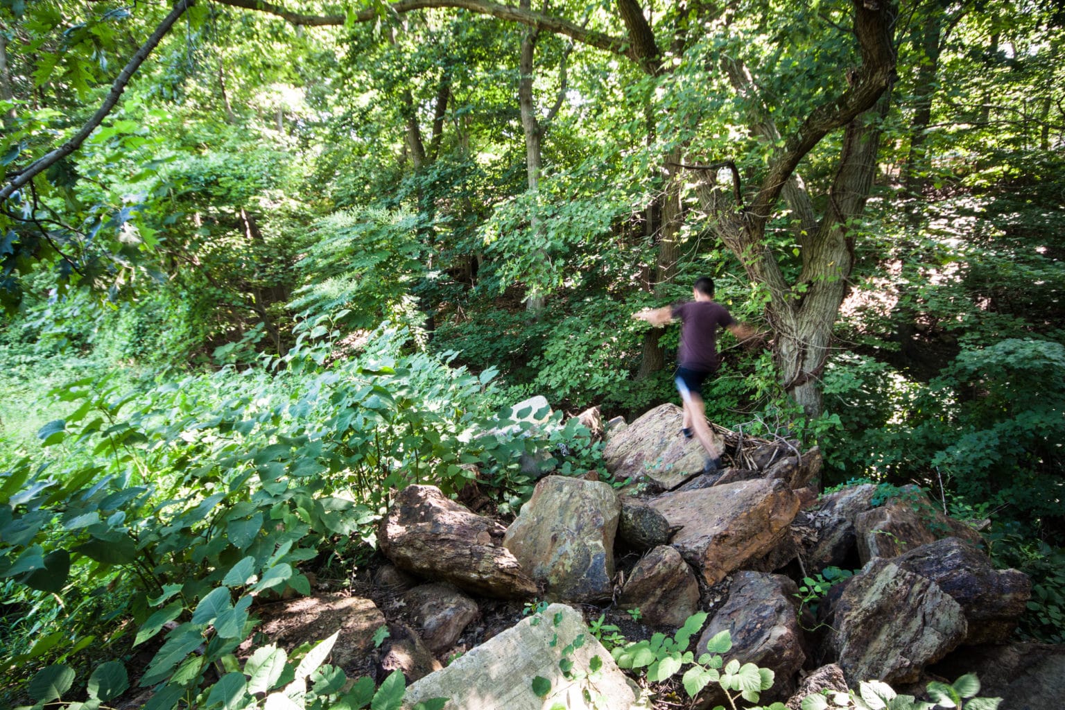 Highland Park | Pittsburgh Parks Conservancy