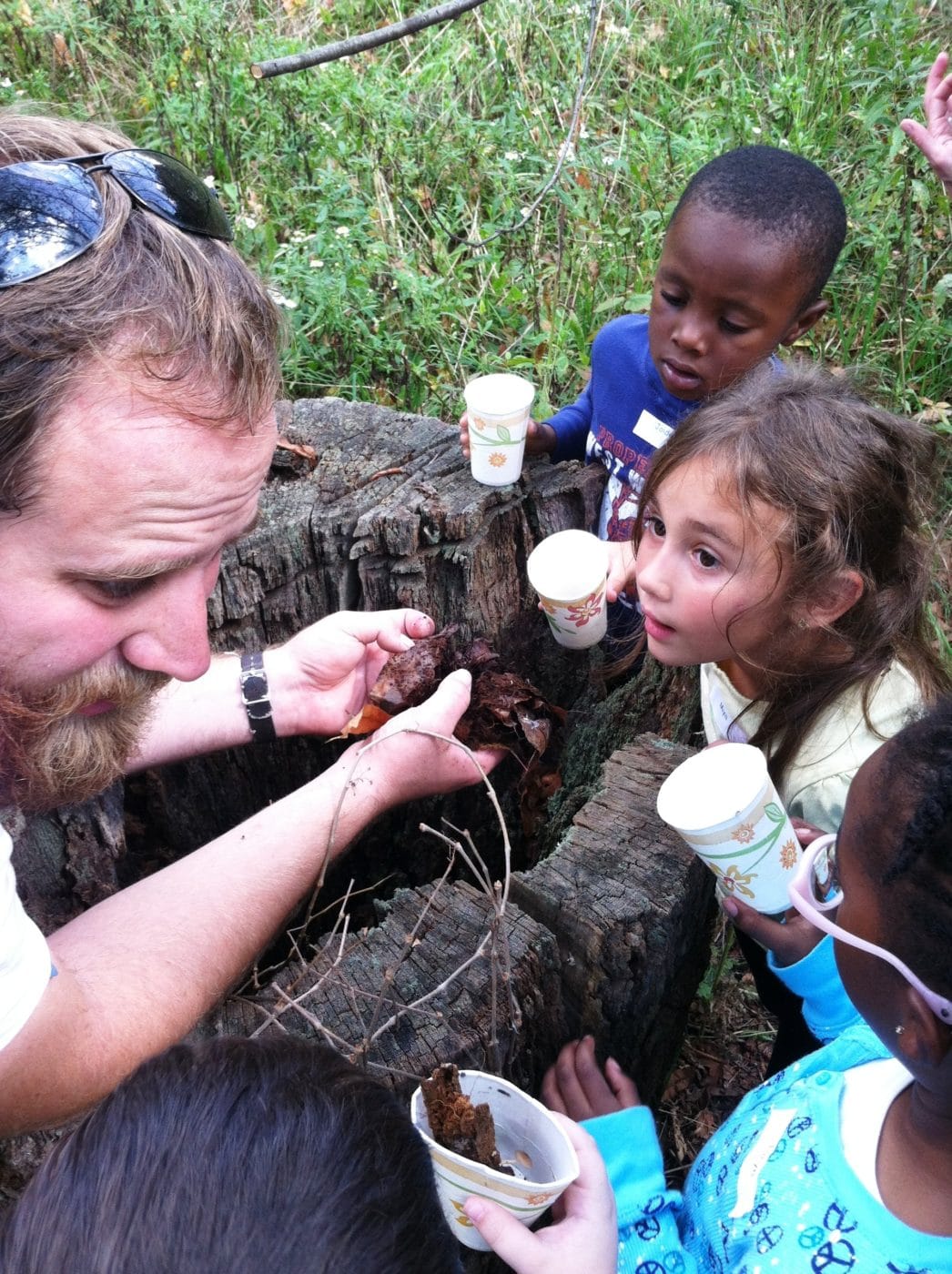Education Programs | Pittsburgh Parks Conservancy