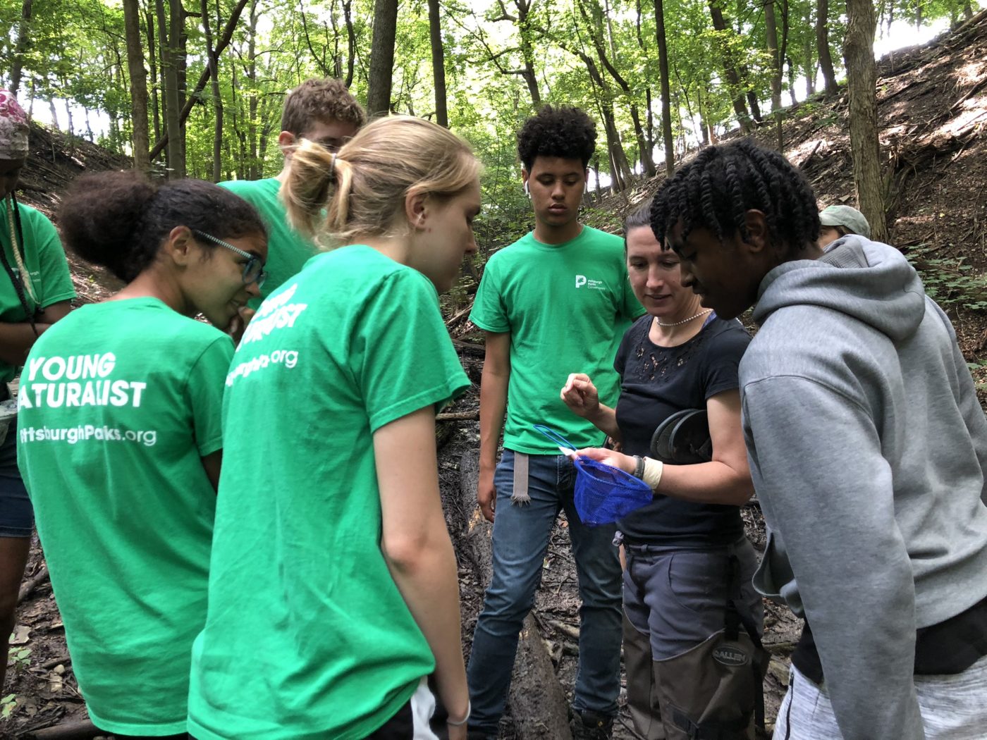 Young Naturalists | Pittsburgh Parks Conservancy