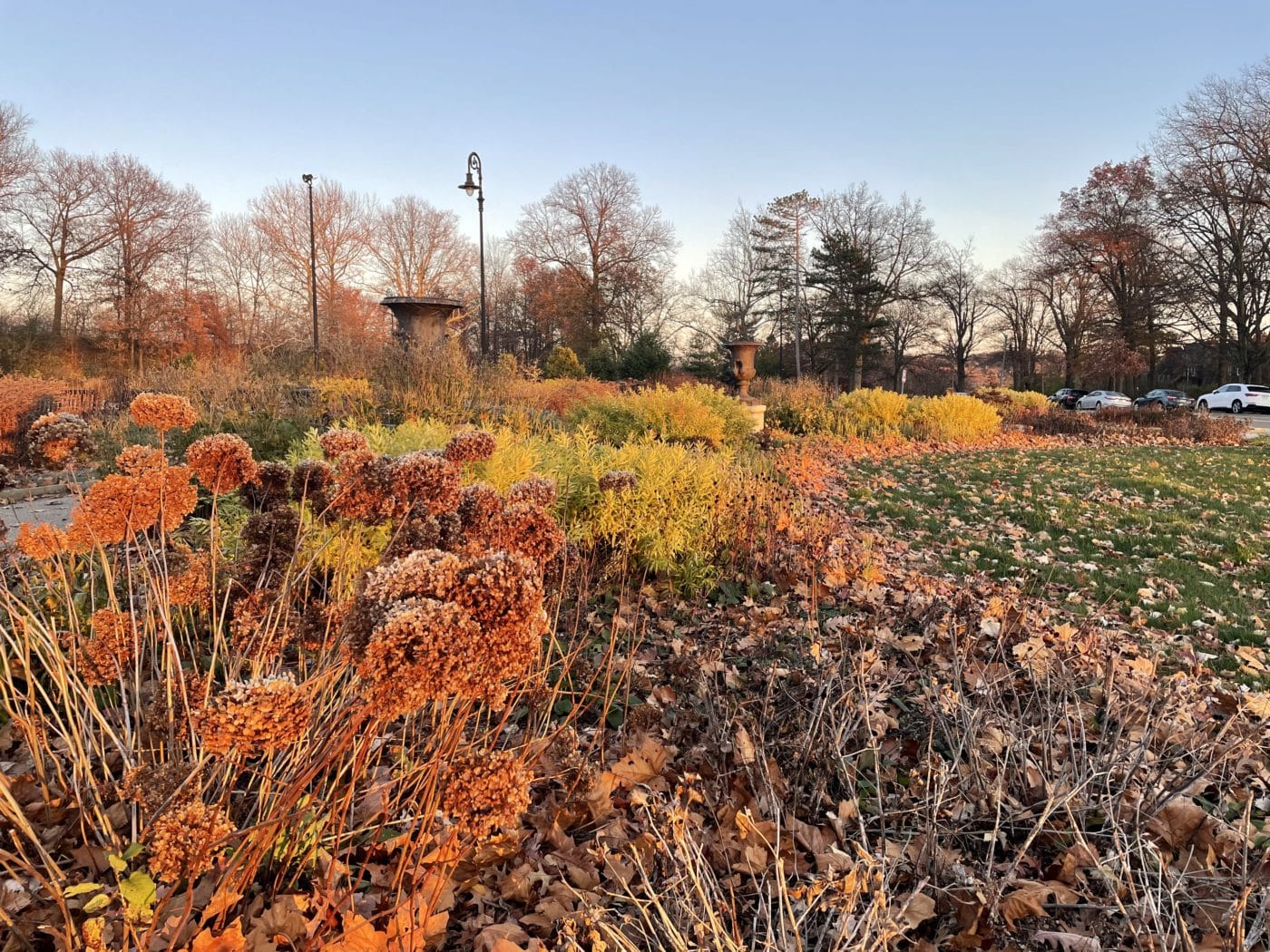 Sustainable Landcare: Winter Perennials in the Highland Park Entry ...