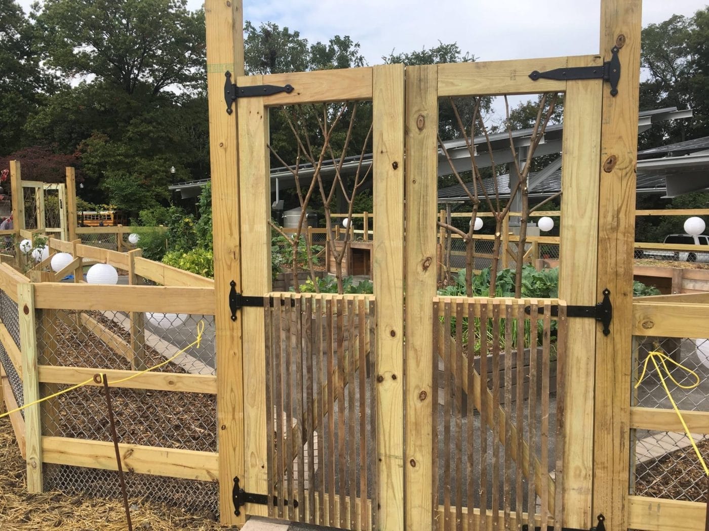 From Slavery to Freedom Garden | Pittsburgh Parks Conservancy