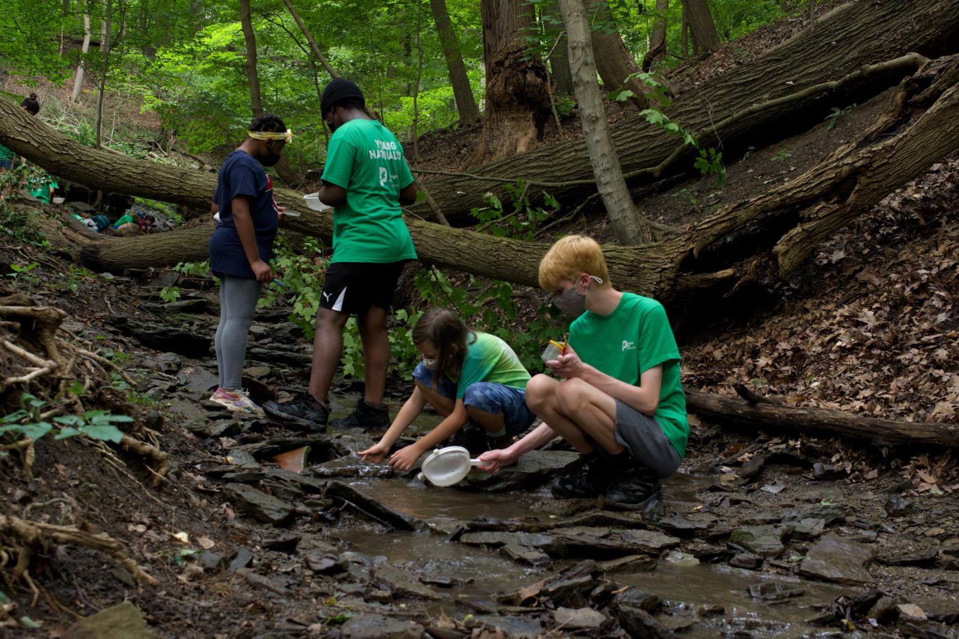 Young Naturalists | Pittsburgh Parks Conservancy