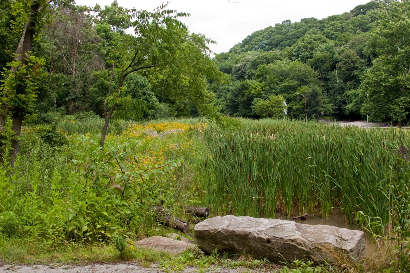 Highland Park Seasonal Pools | Pittsburgh Parks Conservancy