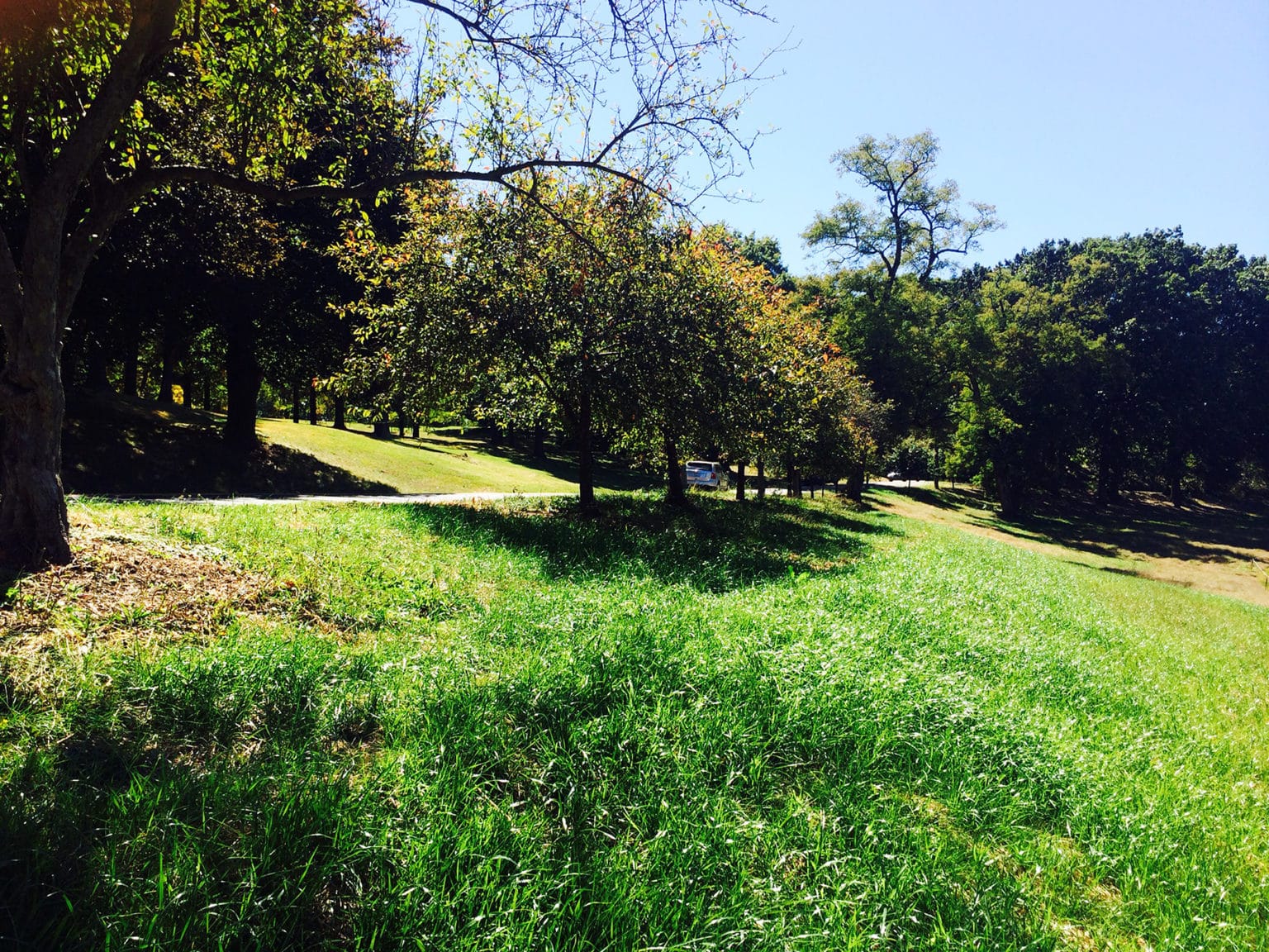 Green Infrastructure to Build a Better ‘Burgh | Pittsburgh Parks ...