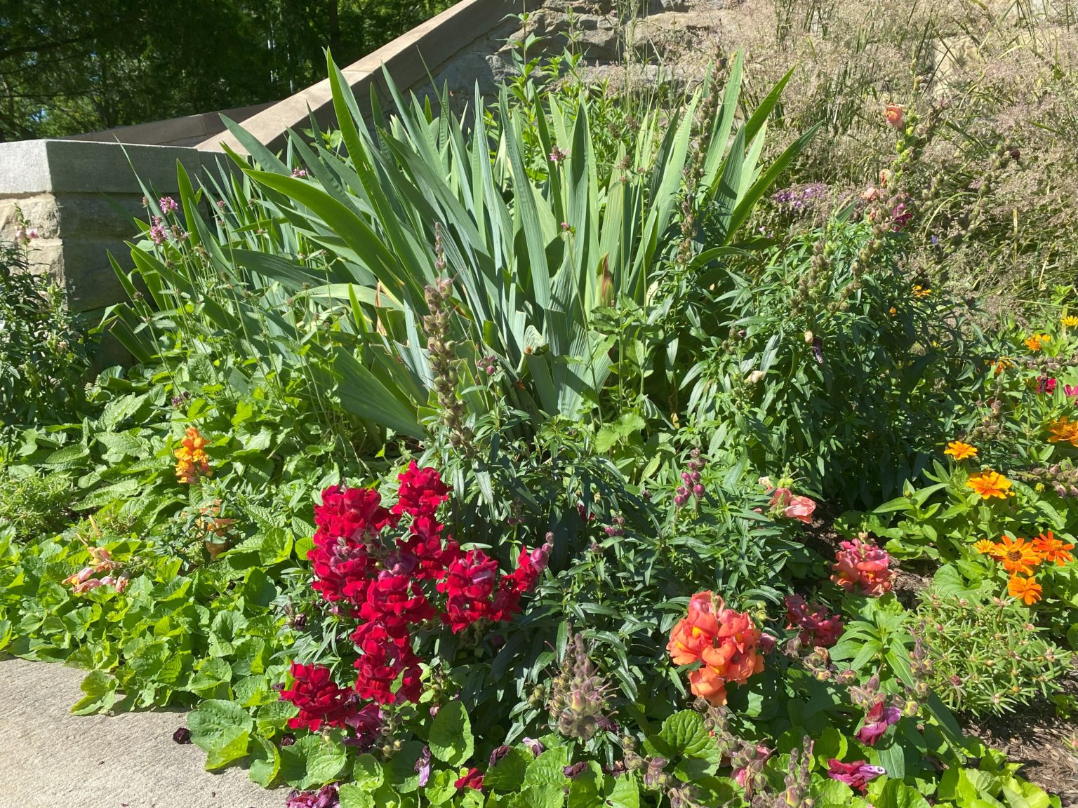 Events | Pittsburgh Parks Conservancy