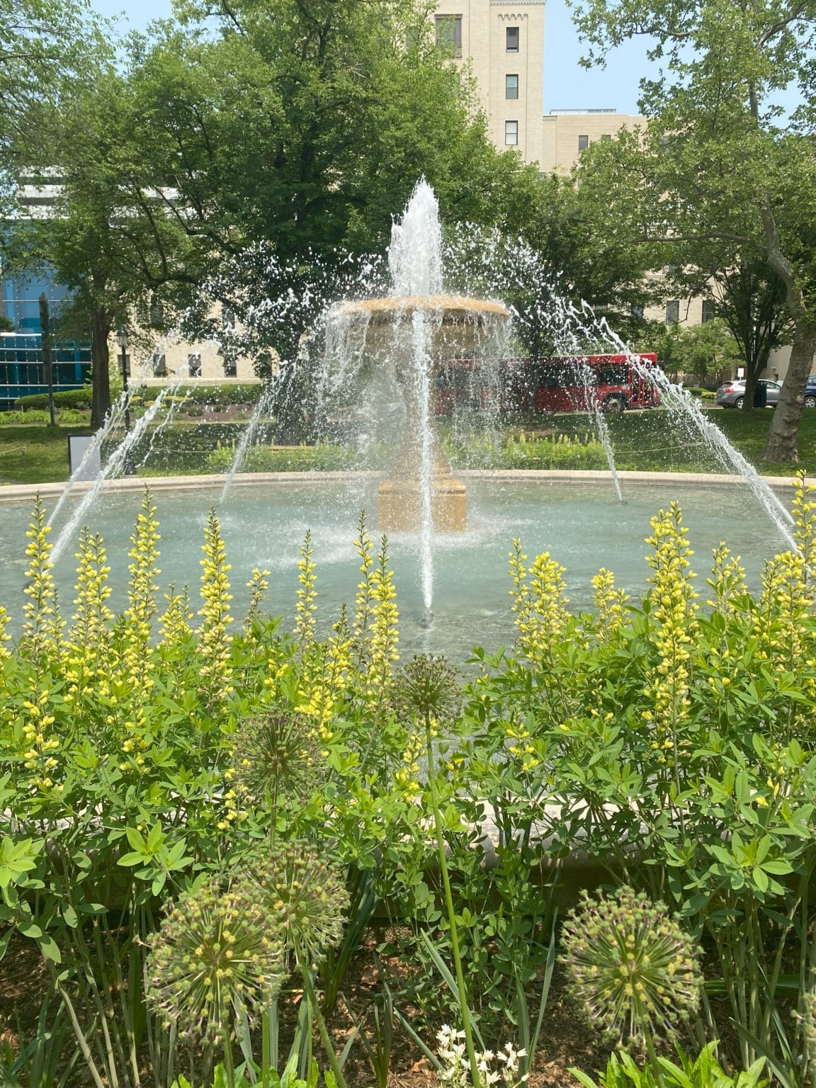 Events | Pittsburgh Parks Conservancy