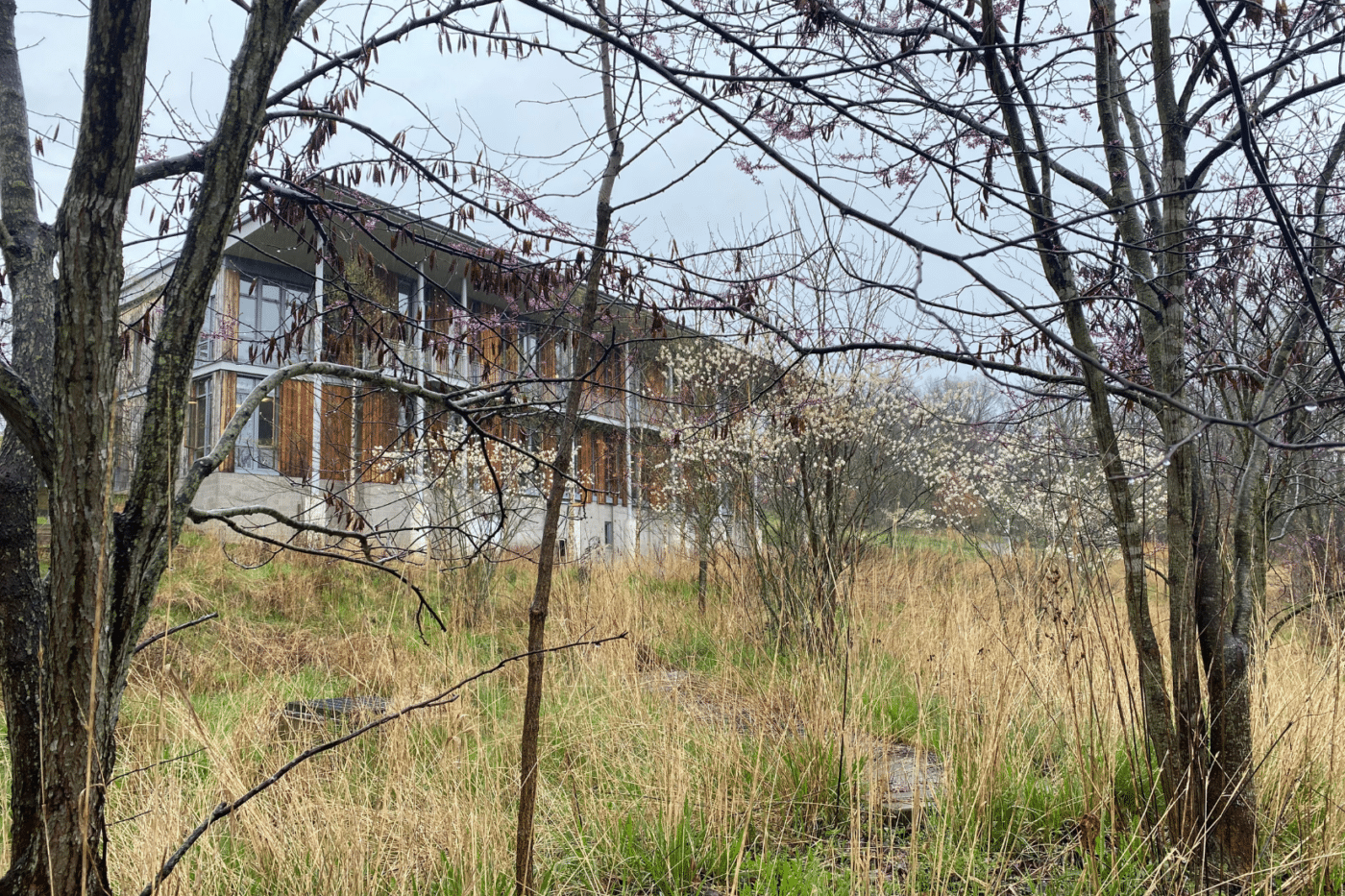 Committed to Parks and People | Pittsburgh Parks Conservancy