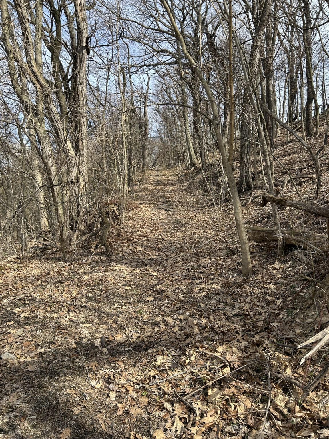 McKinley Park Projects | Pittsburgh Parks Conservancy