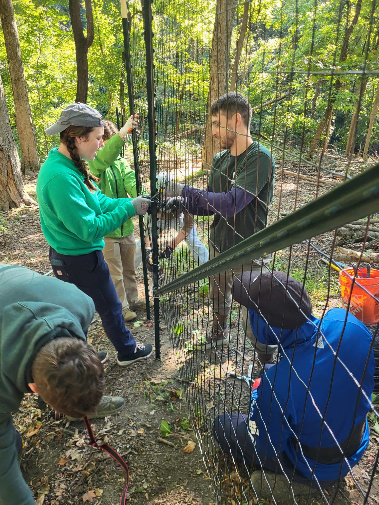 New Deer Exclosure in McKinley Park Will Ensure 400 Tree Plantings ...